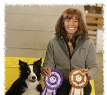 Instructors | DogWorks